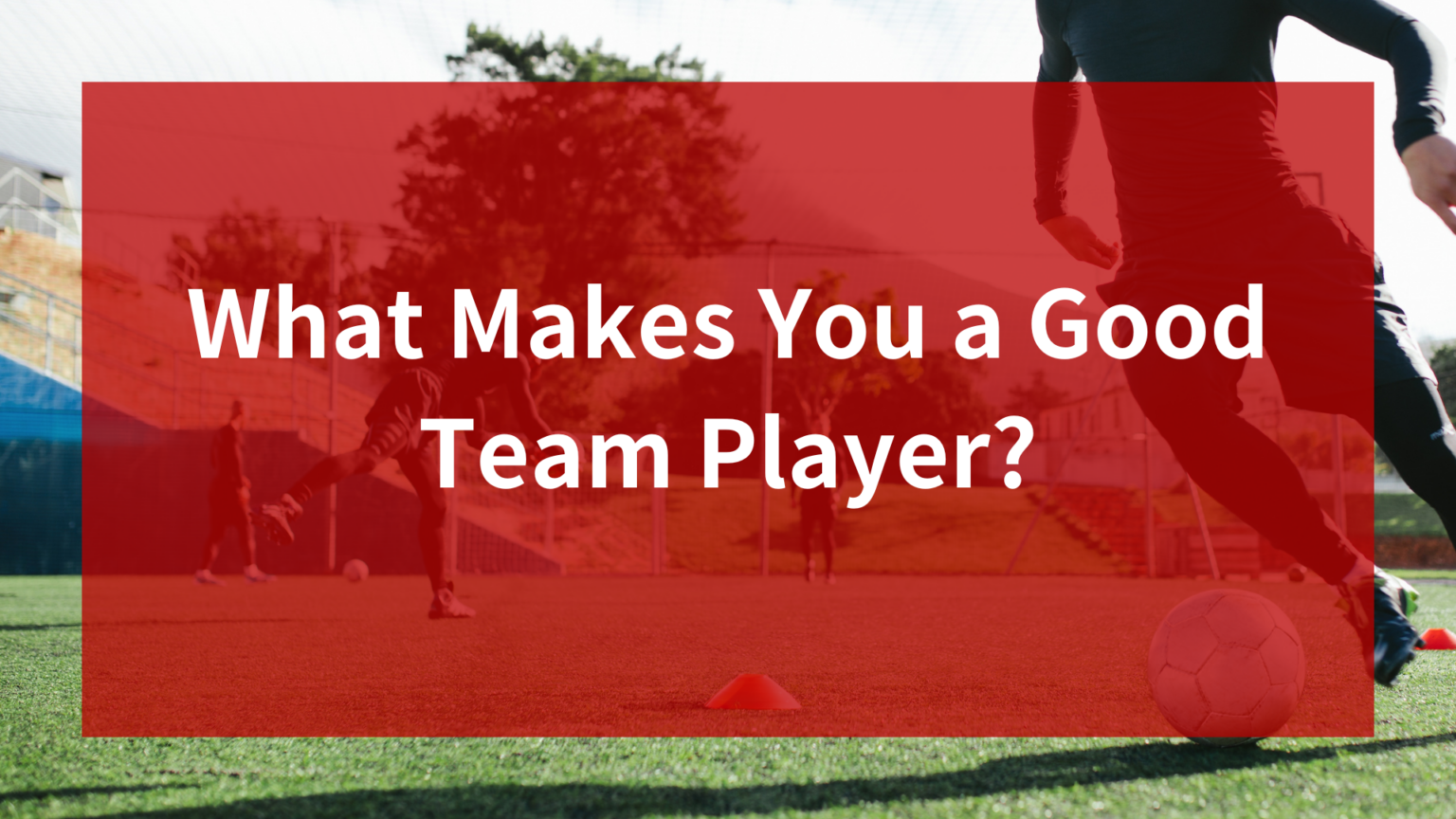 What Makes You a Good Team Player? - FocusCore